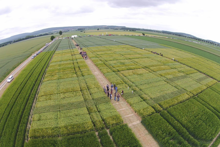 Mehr Biodiversität im Ackerbau mit „Controlled Row Farming“