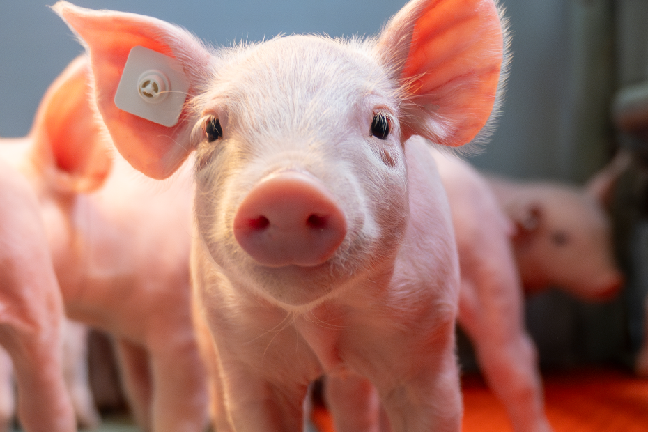 AGRAVIS. Gemeinsam stark. Für Land und Leben.